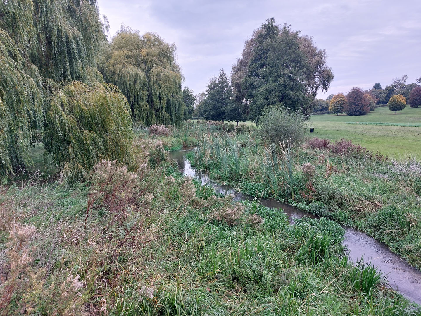 River Gade chalk stream restoration | JBA Consulting